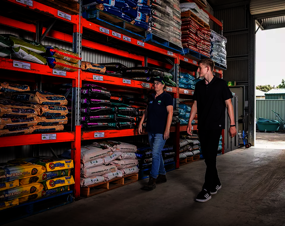 Our Services | RAFF Group