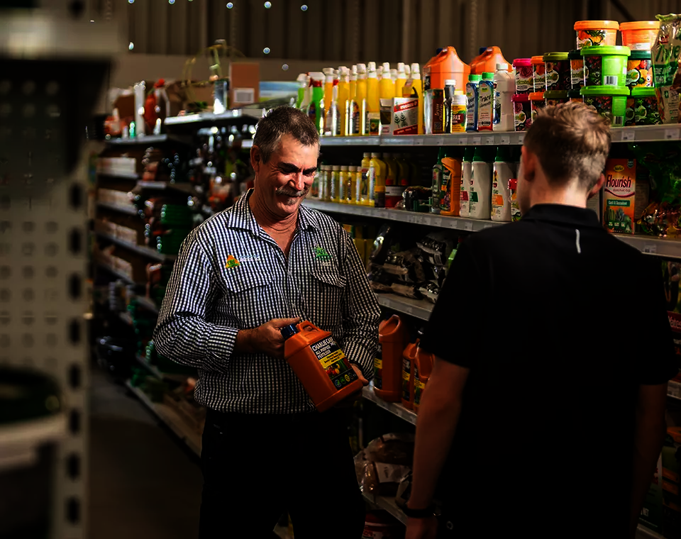 Our Services | RAFF Group